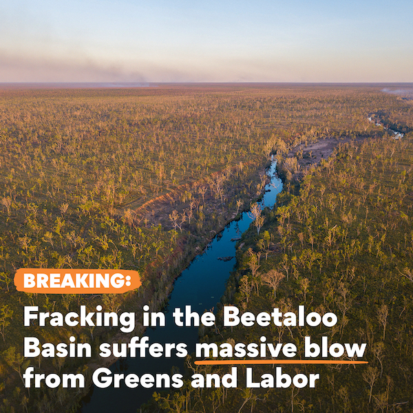 GetUp! - Share the news on social media!