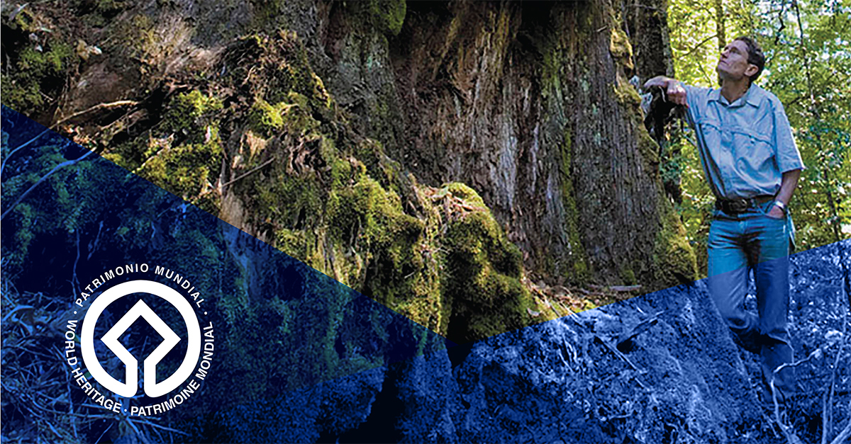 GetUp! Action for Australia