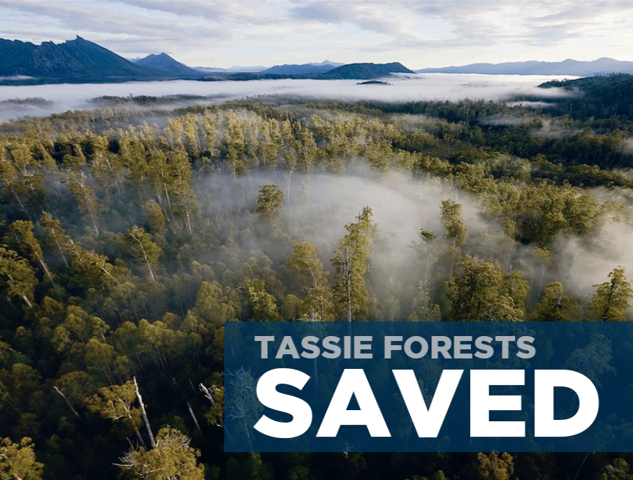 GetUp! - BECOME A CORE MEMBER